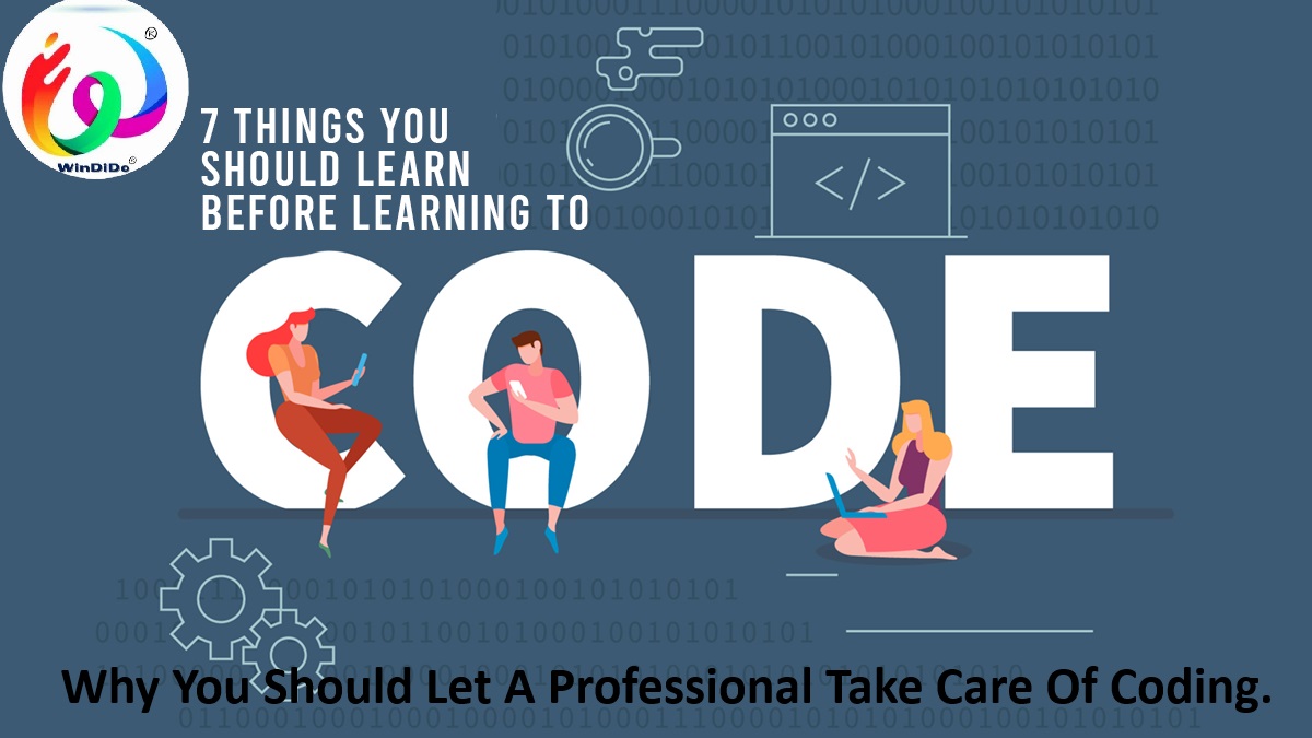 Why You Should Let A Professional Take Care Of Coding. – WinDiDo™ Why You Should Let A Professional Take Care Of Coding. – WinDiDo™